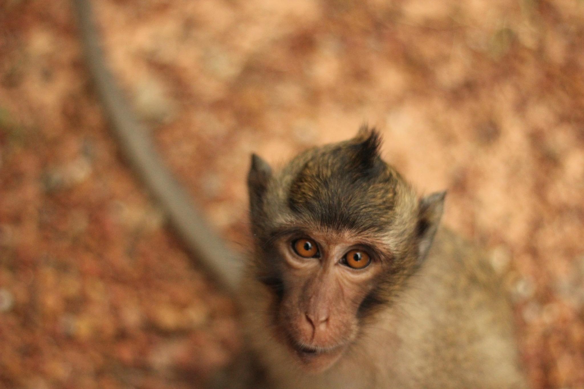 Photography – Hannah Pennell Communication